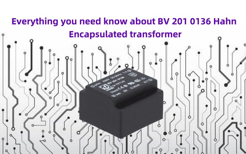 Everything you need know about BV 201 0136 Hahn Encapsulated ...